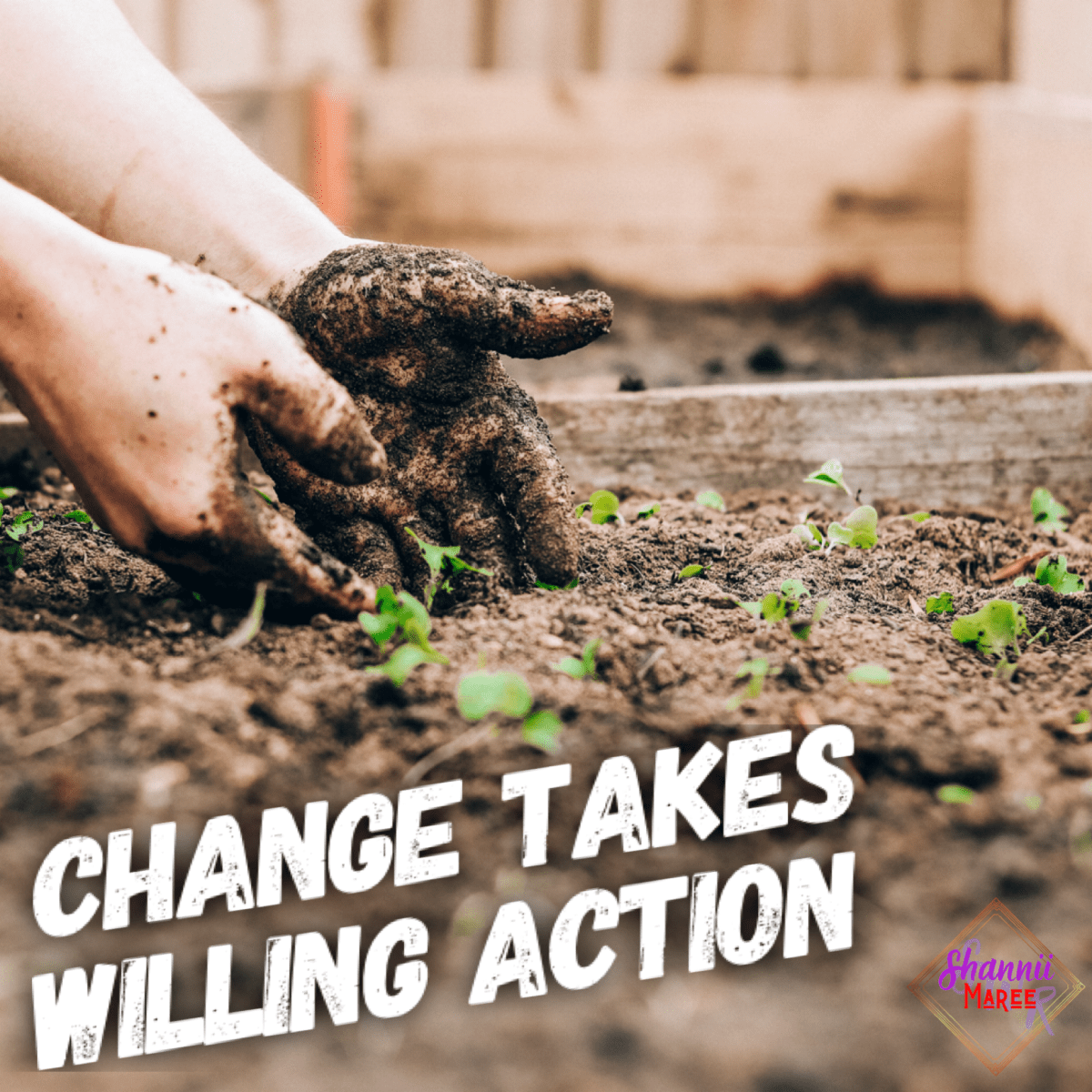 Change takes willing action – Shannii Maree – Strong Without Realising