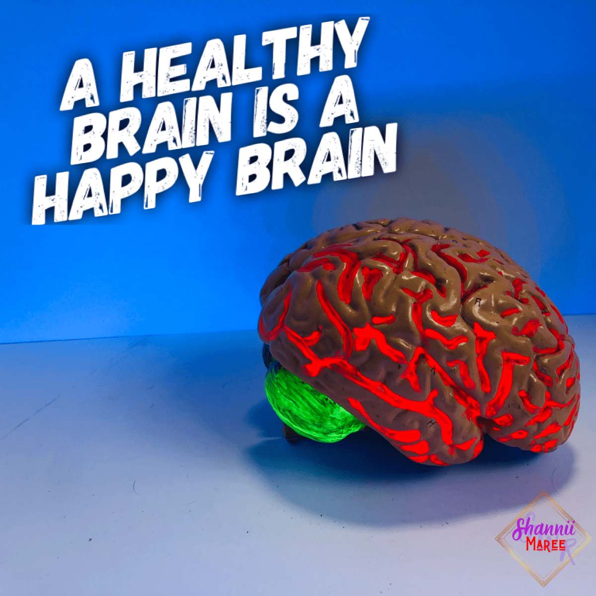 A healthy brain is a happy brain – Shannii Maree – Strong Without Realising